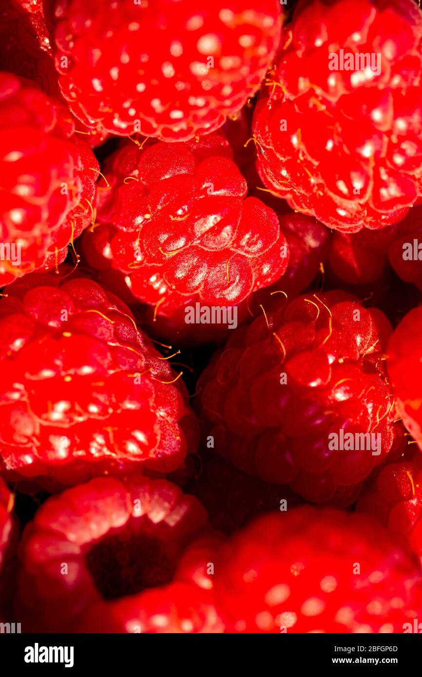 Details of ripe red raspberries Stock Photo - Alamy