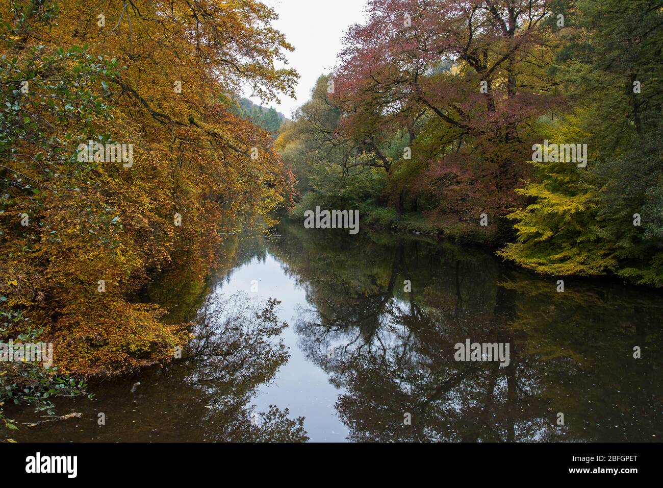 Autumn mood at the river Wied in Germany Stock Photo - Alamy