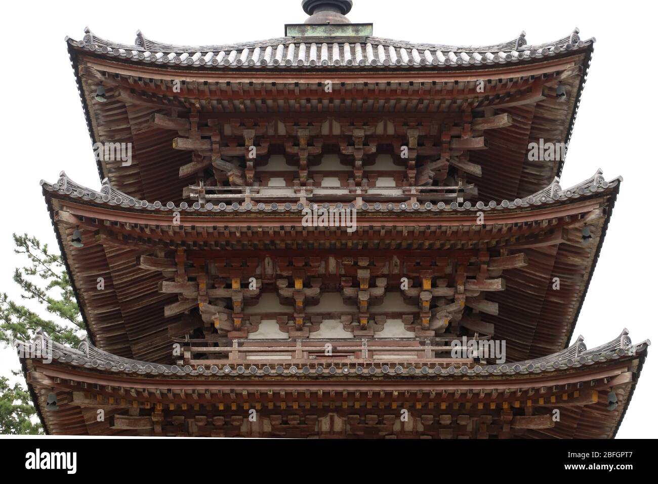 Looking up at the curved roof and intricate construction of the oldest ...