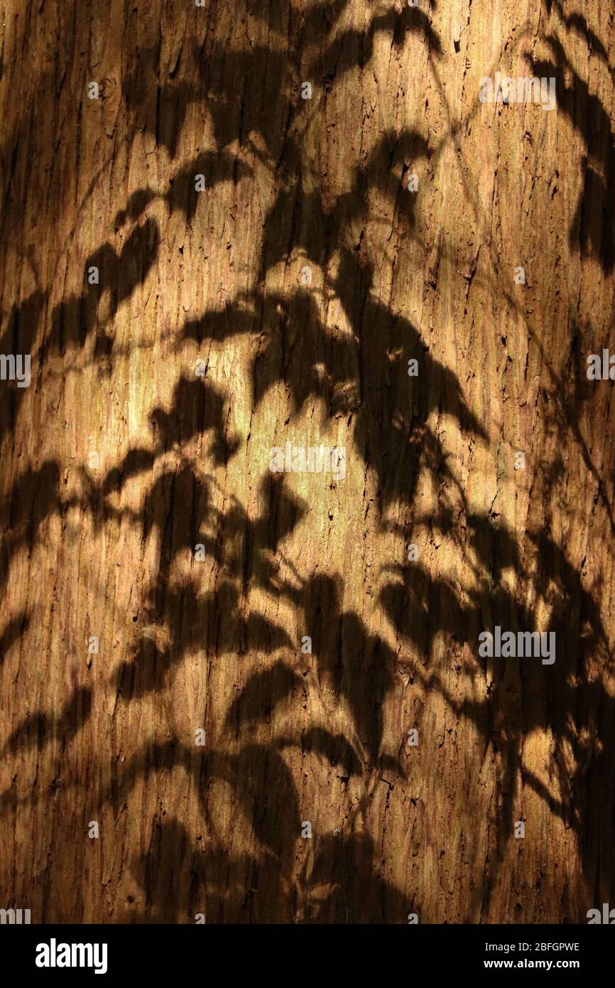 Intimate image hi-res stock photography and images - Alamy