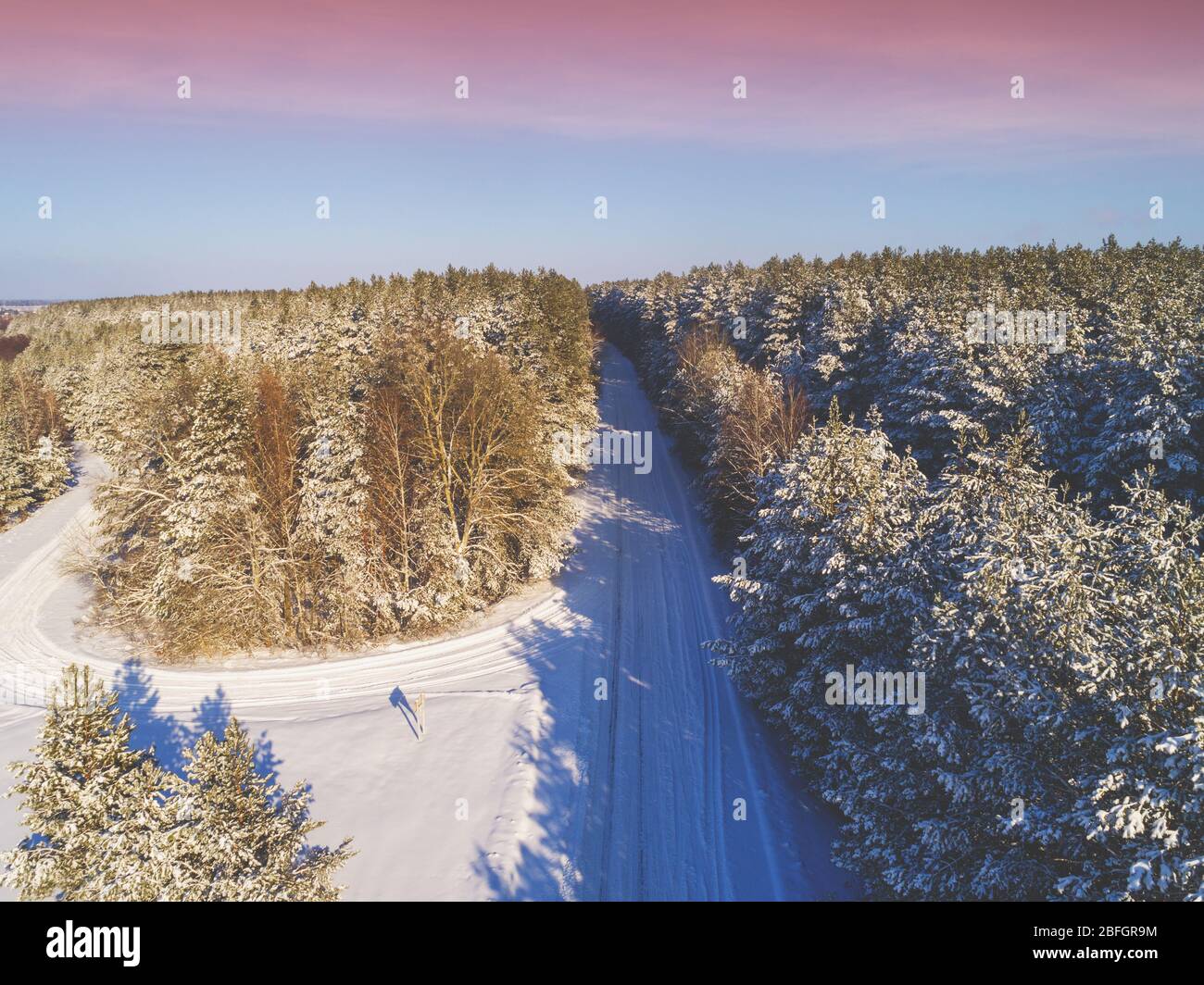 Country road in a pine forest. U-Turn. Winter nature. Snowy forest ...