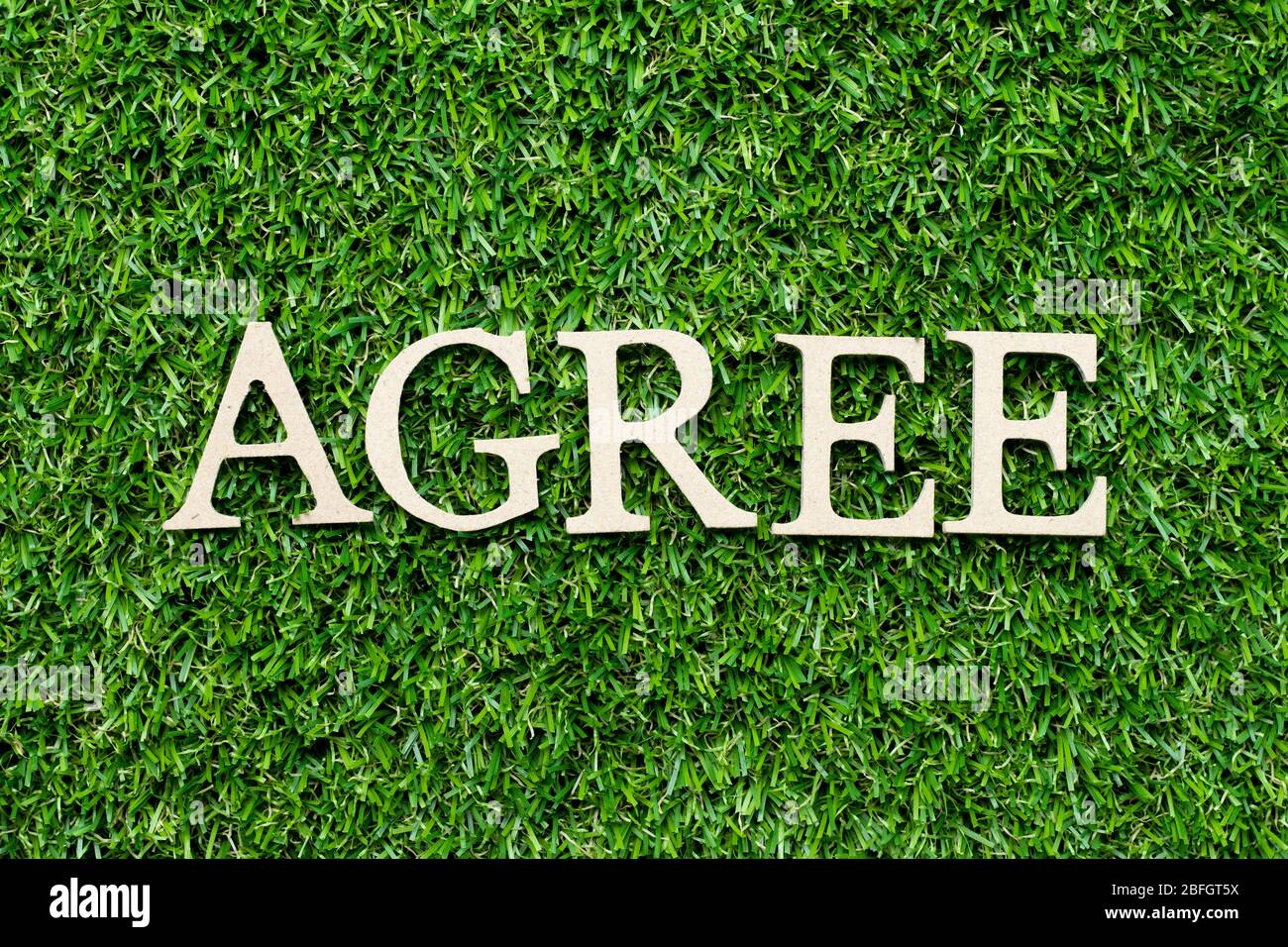 Wood alphabet letter in word agree on green grass background Stock ...