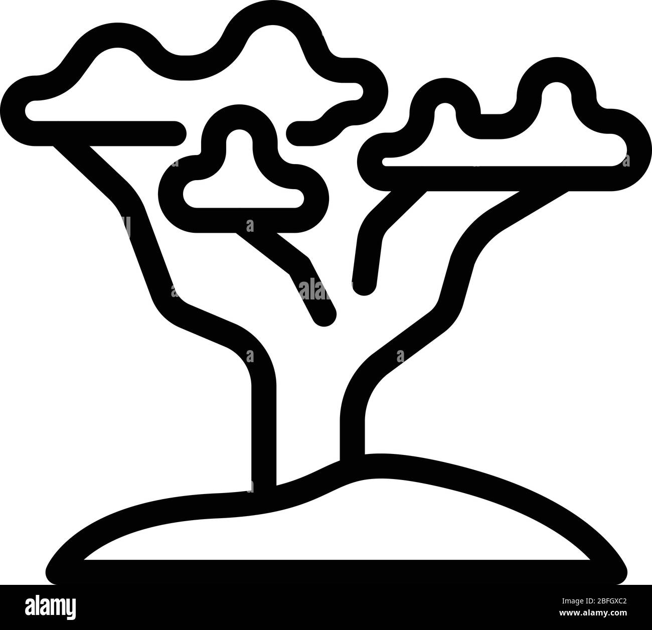 South african flora Black and White Stock Photos & Images - Alamy