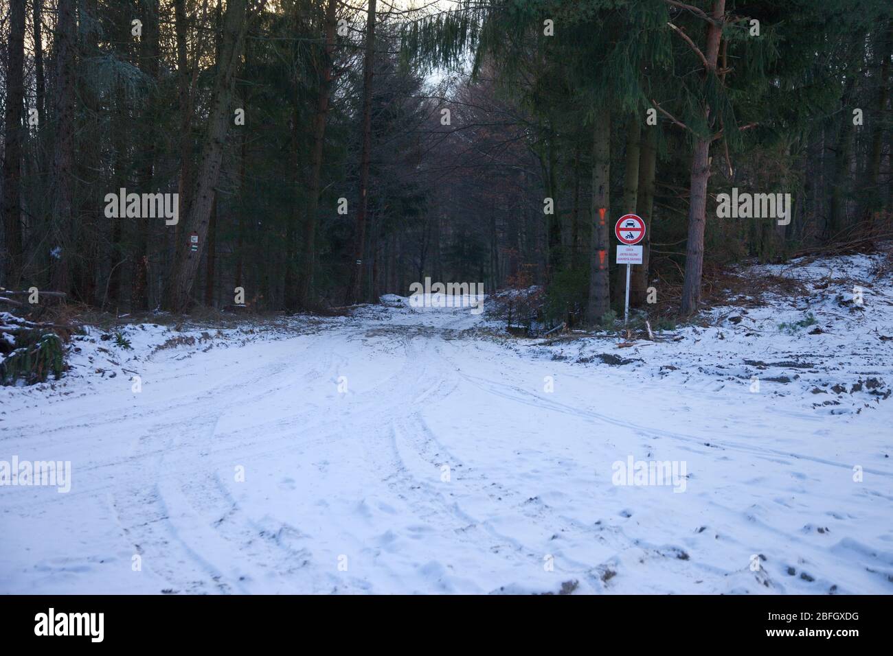 Stop sign with trees hi-res stock photography and images - Alamy