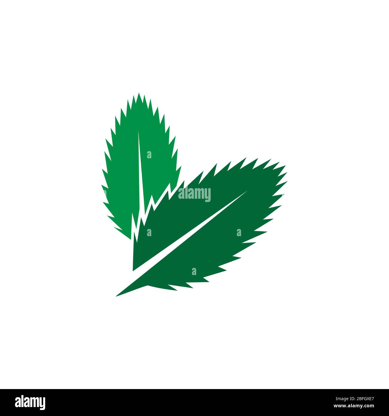 Mint leaves flat vector color icon template isolated Stock Vector Image ...