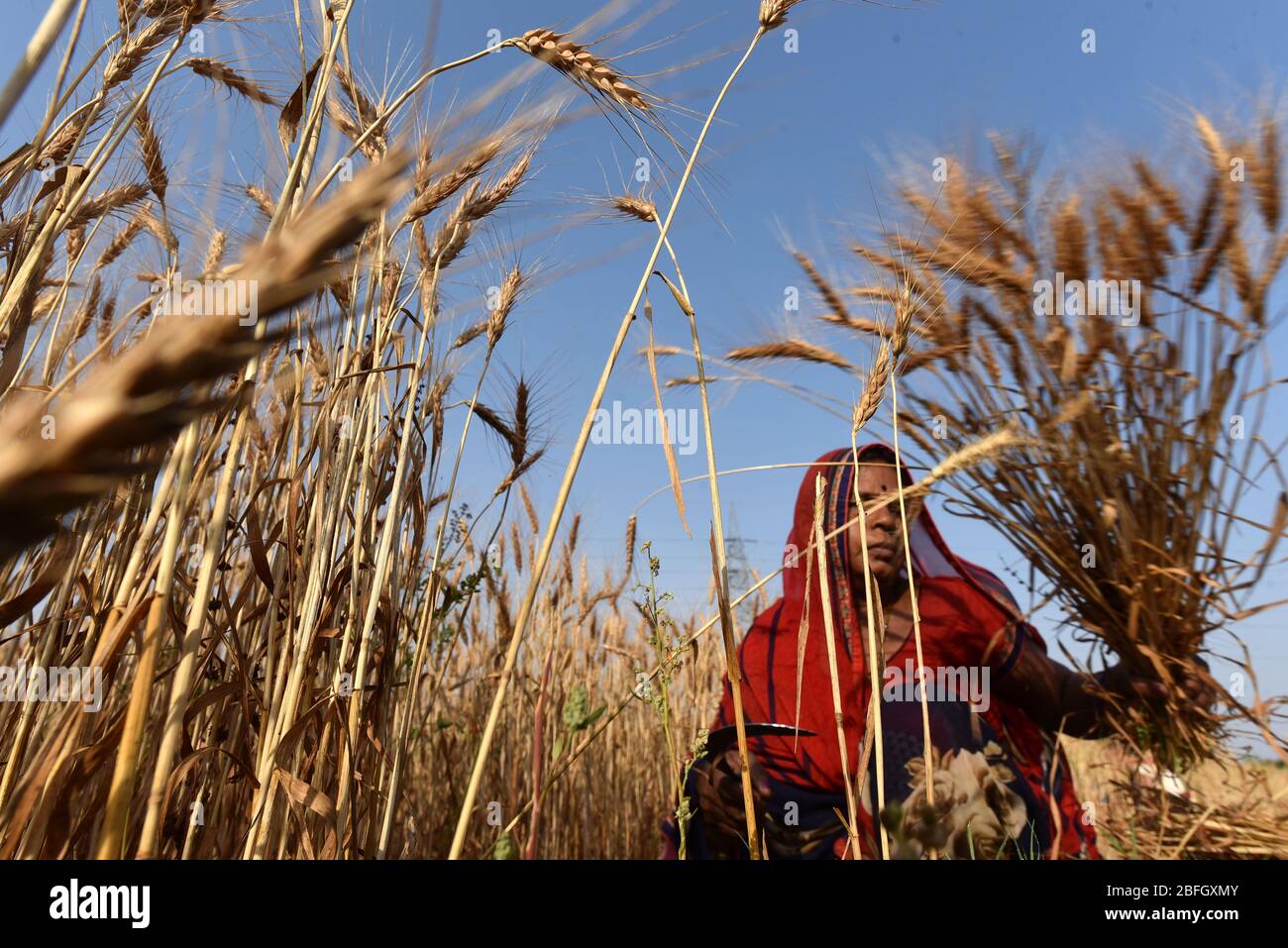 Meja a hi-res stock photography and images - Alamy