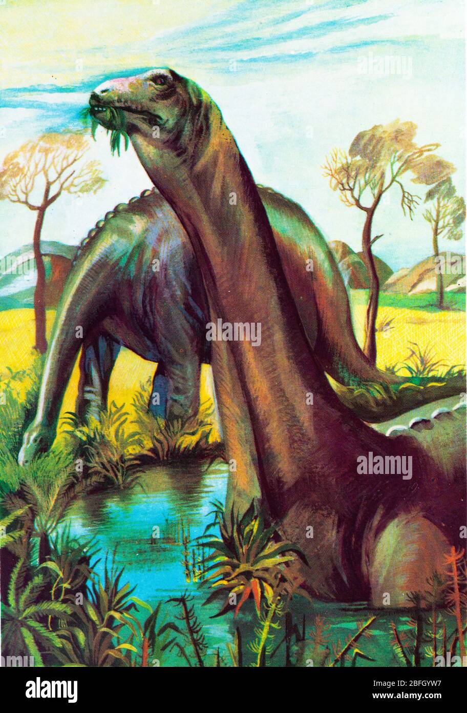 Dinosaurs Brontosaurus