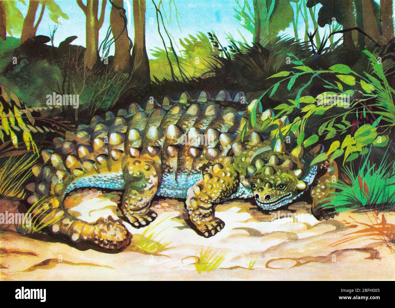 Ankylosaur hi-res stock photography and images - Alamy
