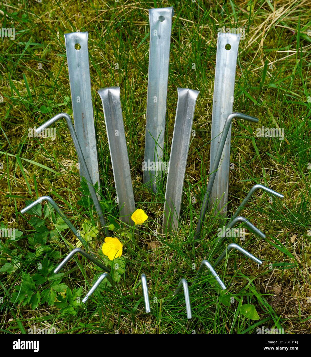 Tent pegs hi-res stock photography and images - Alamy
