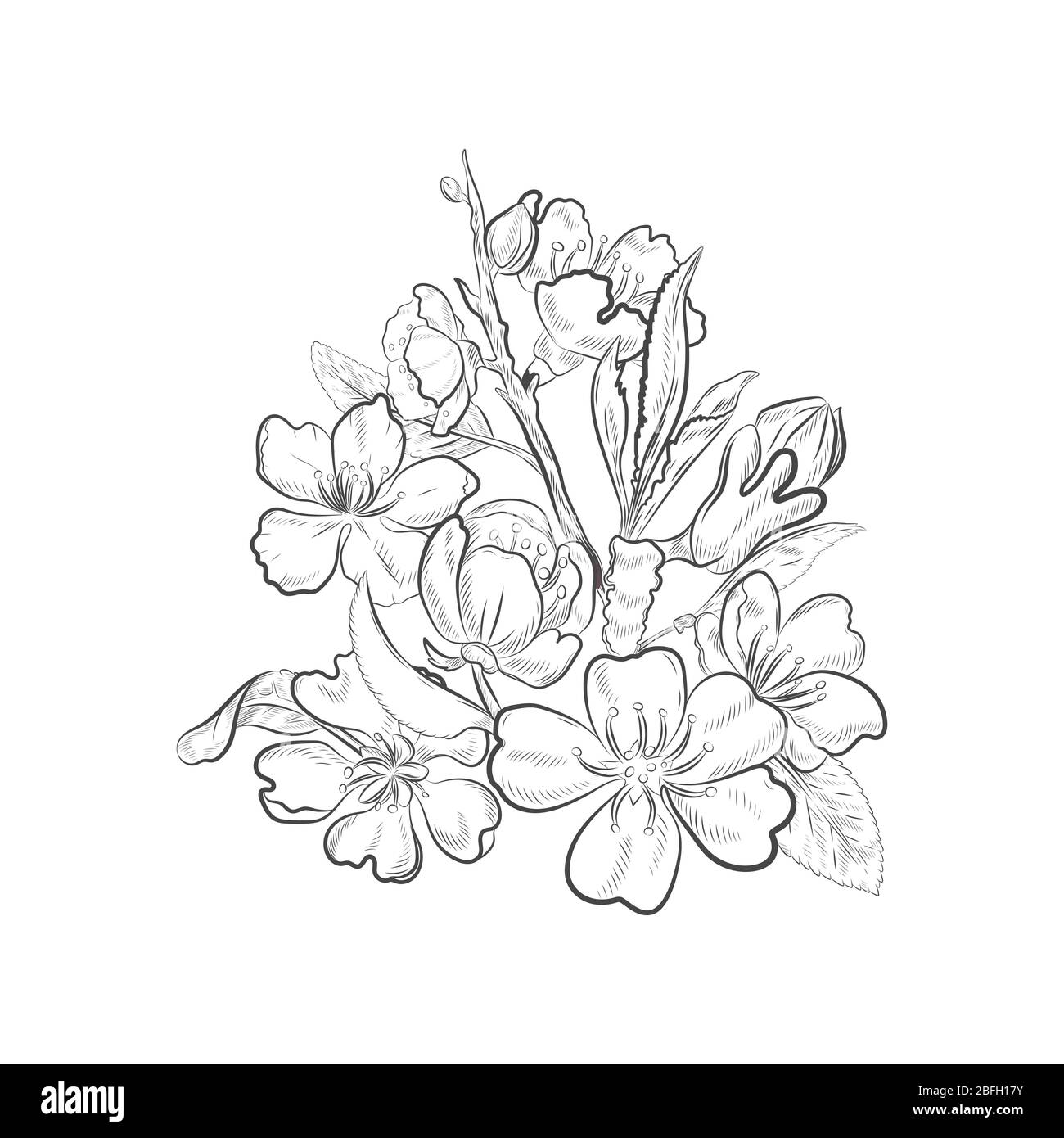 Spring blooming closeup vector sketch Stock Vector Image & Art - Alamy