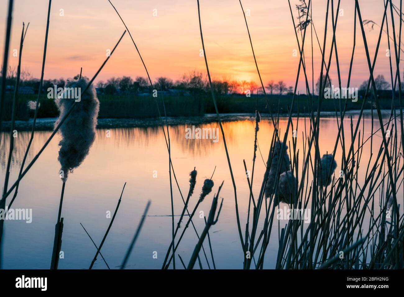 Sunset and wetland hi-res stock photography and images - Alamy