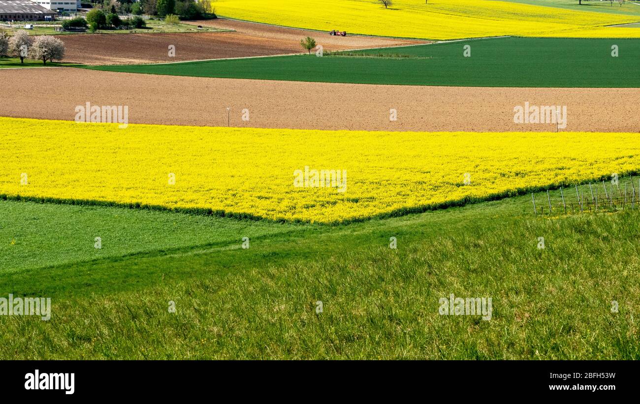 Spring in the country Stock Photo - Alamy