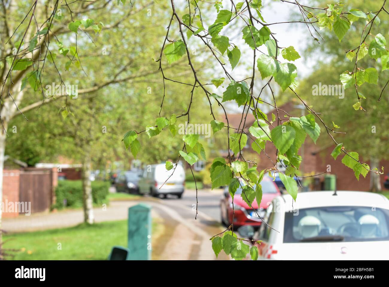 Empty road in residential area hi-res stock photography and images - Alamy