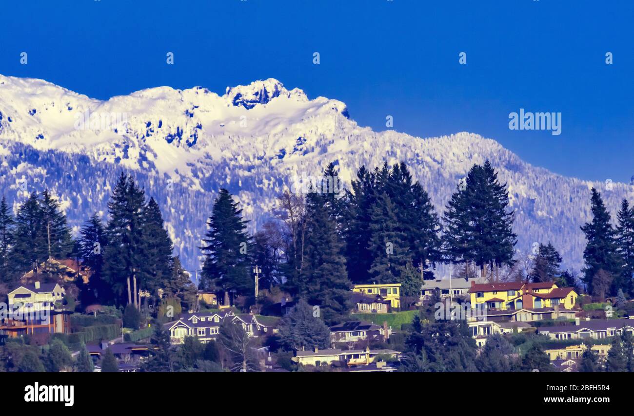 Houses Residential Neighborhoods Snow Capped Cascade Mountains Bellevue ...