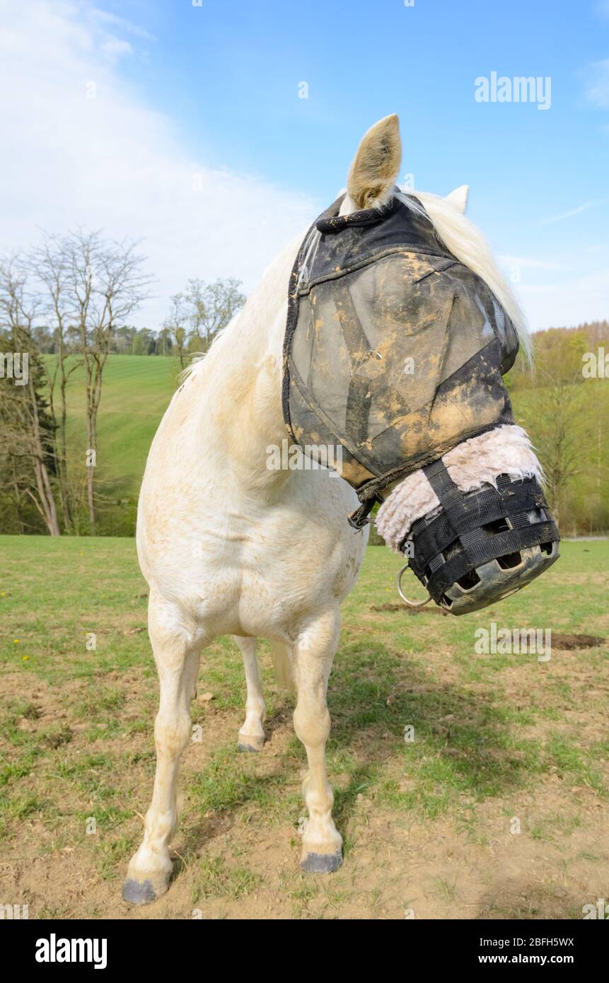 Bite mask hi-res stock photography and images - Alamy