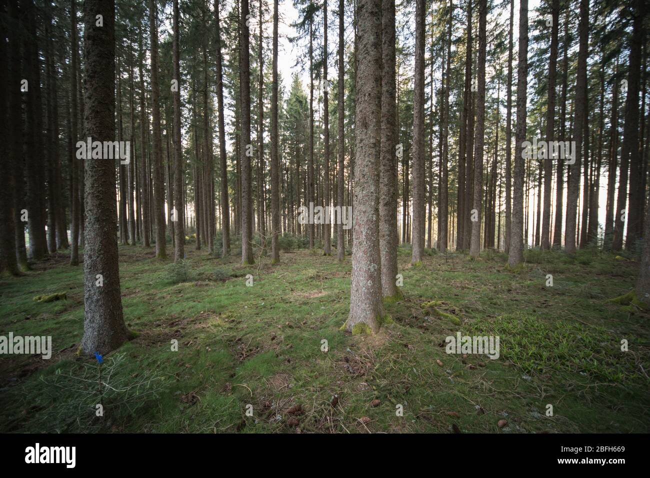 German landscapes hi-res stock photography and images - Alamy