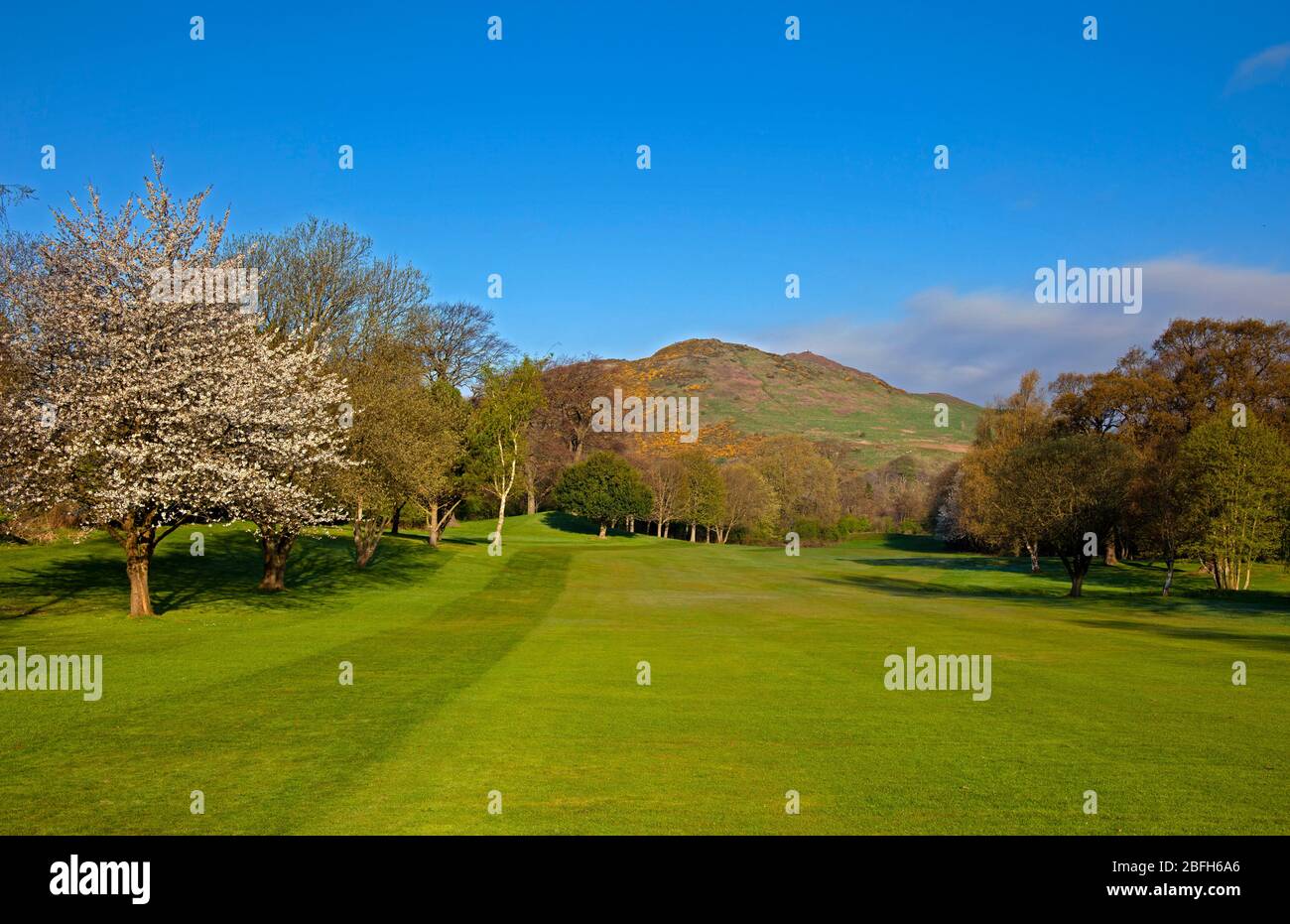 Scotland yard 19th hi-res stock photography and images - Alamy