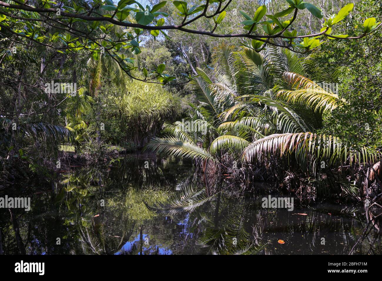 Australian wild nature hi-res stock photography and images - Alamy