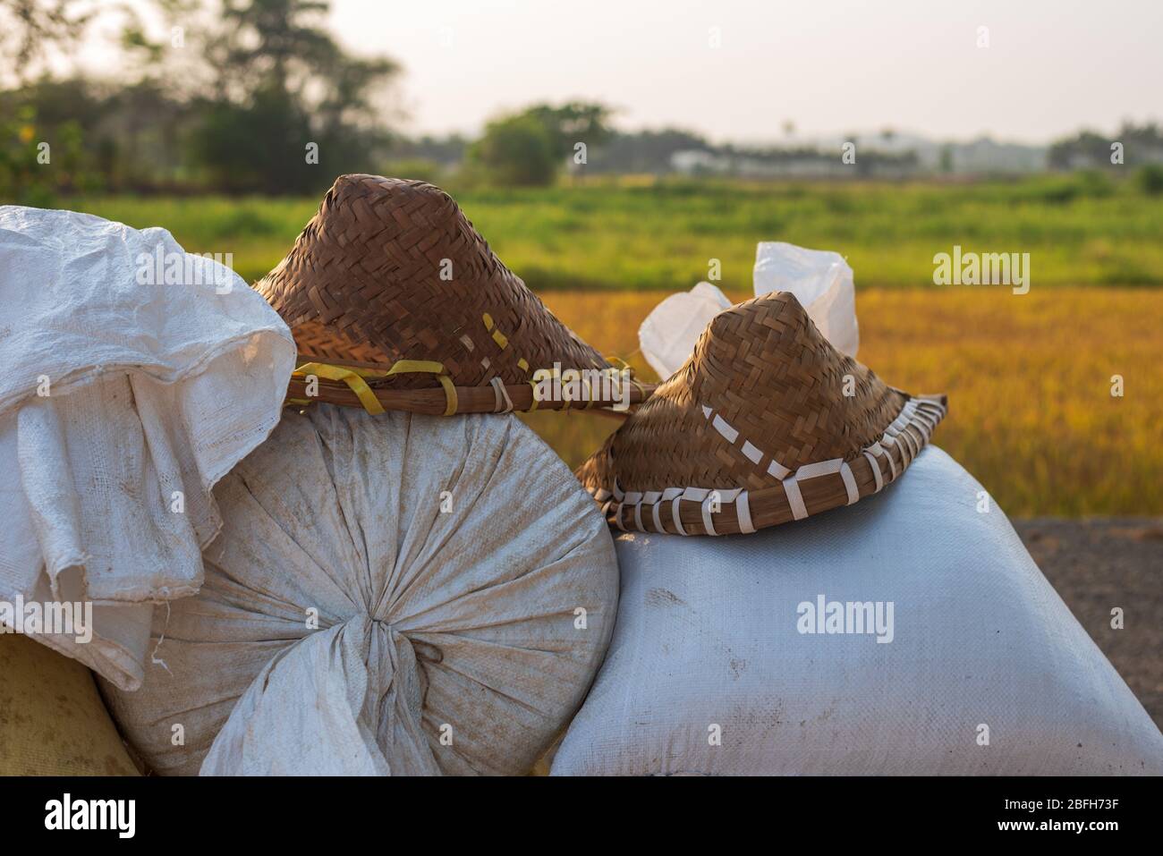 Large dustpan-shaped kitchen appliance made of bamboo - a winnowing fan ...