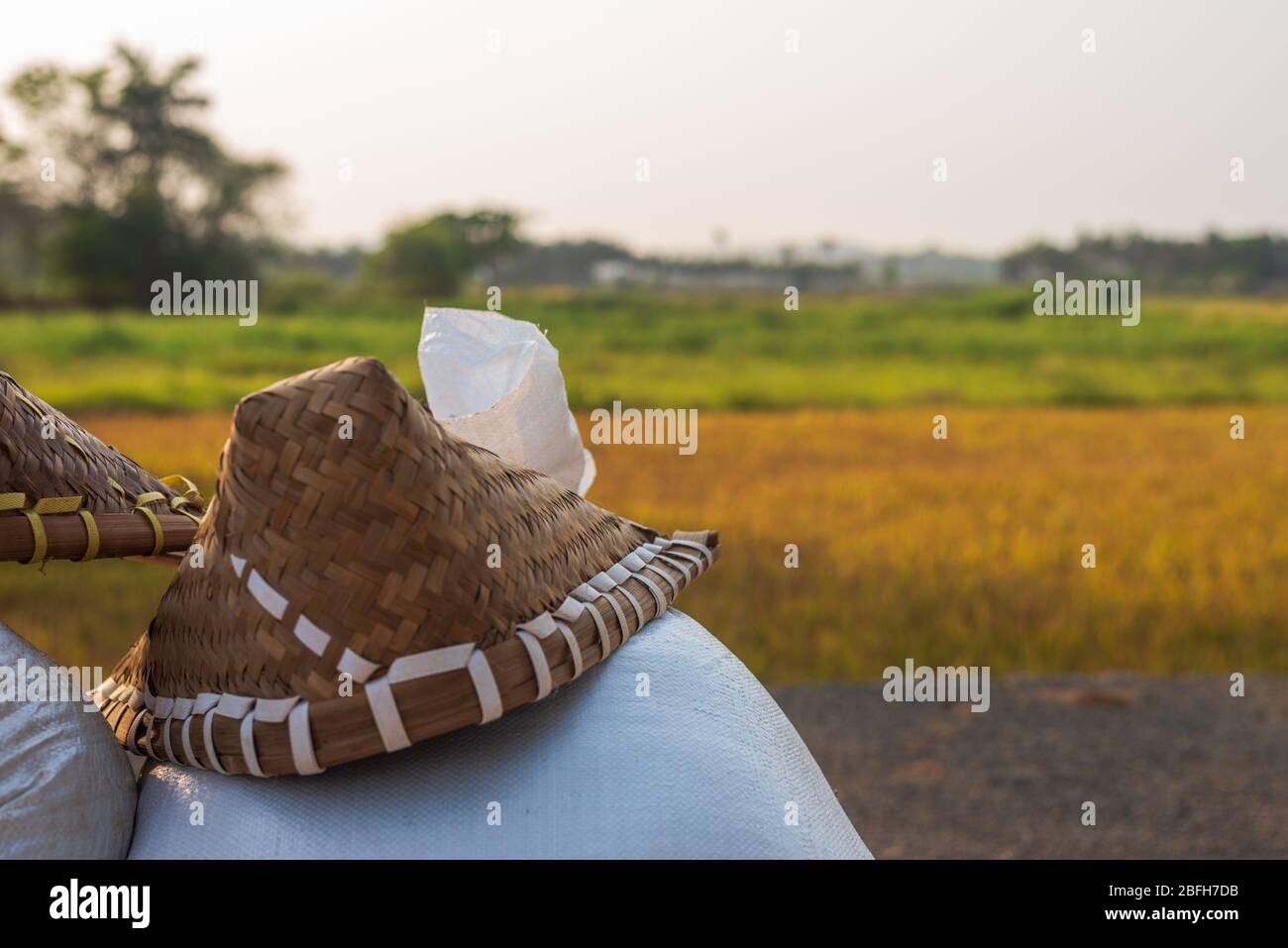 Large dustpan-shaped kitchen appliance made of bamboo - a winnowing fan ...