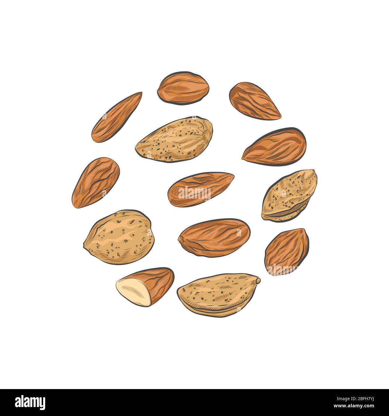 Nutshells food Stock Vector Images - Alamy