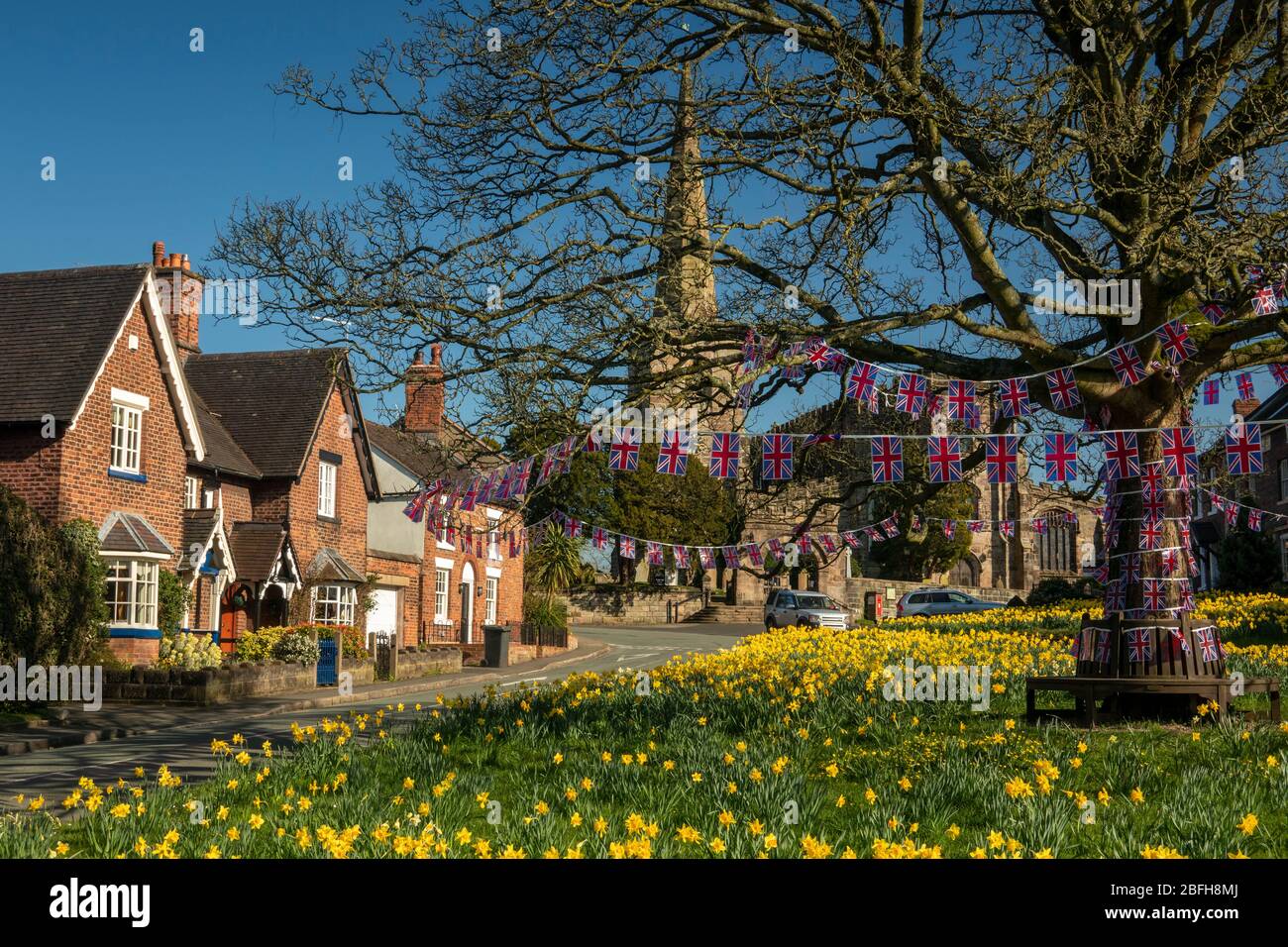 Astbury cheshire daffodils hi-res stock photography and images - Alamy