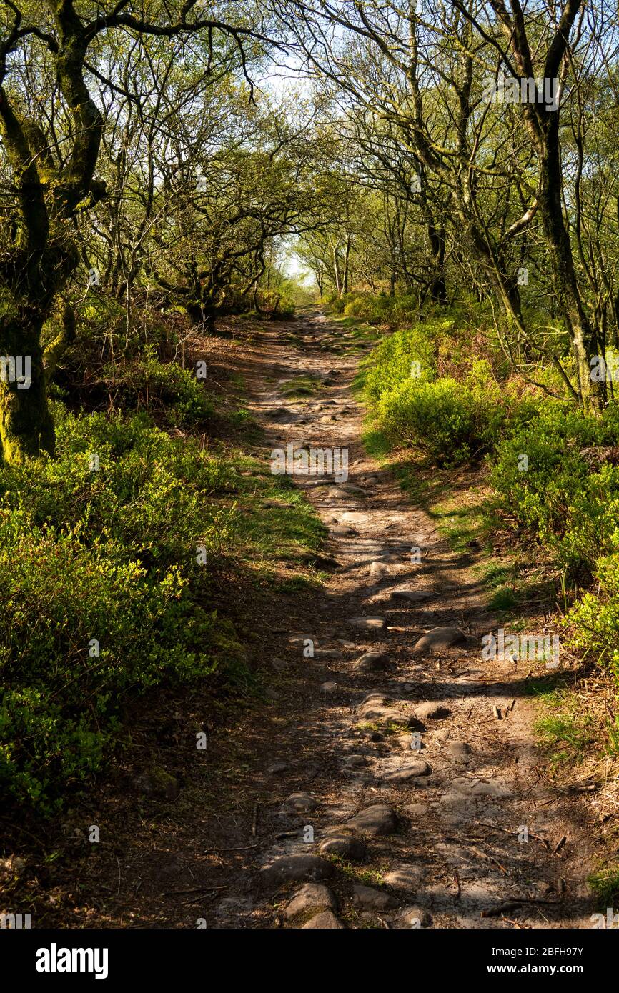 Staffordshire cheshire hi-res stock photography and images - Alamy