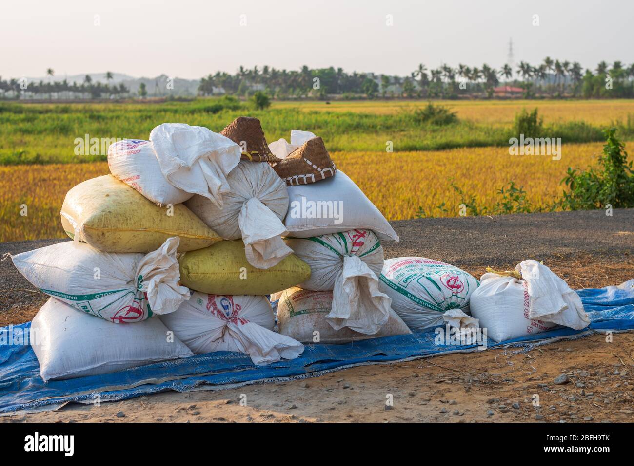 Sacks grain india hi-res stock photography and images - Alamy