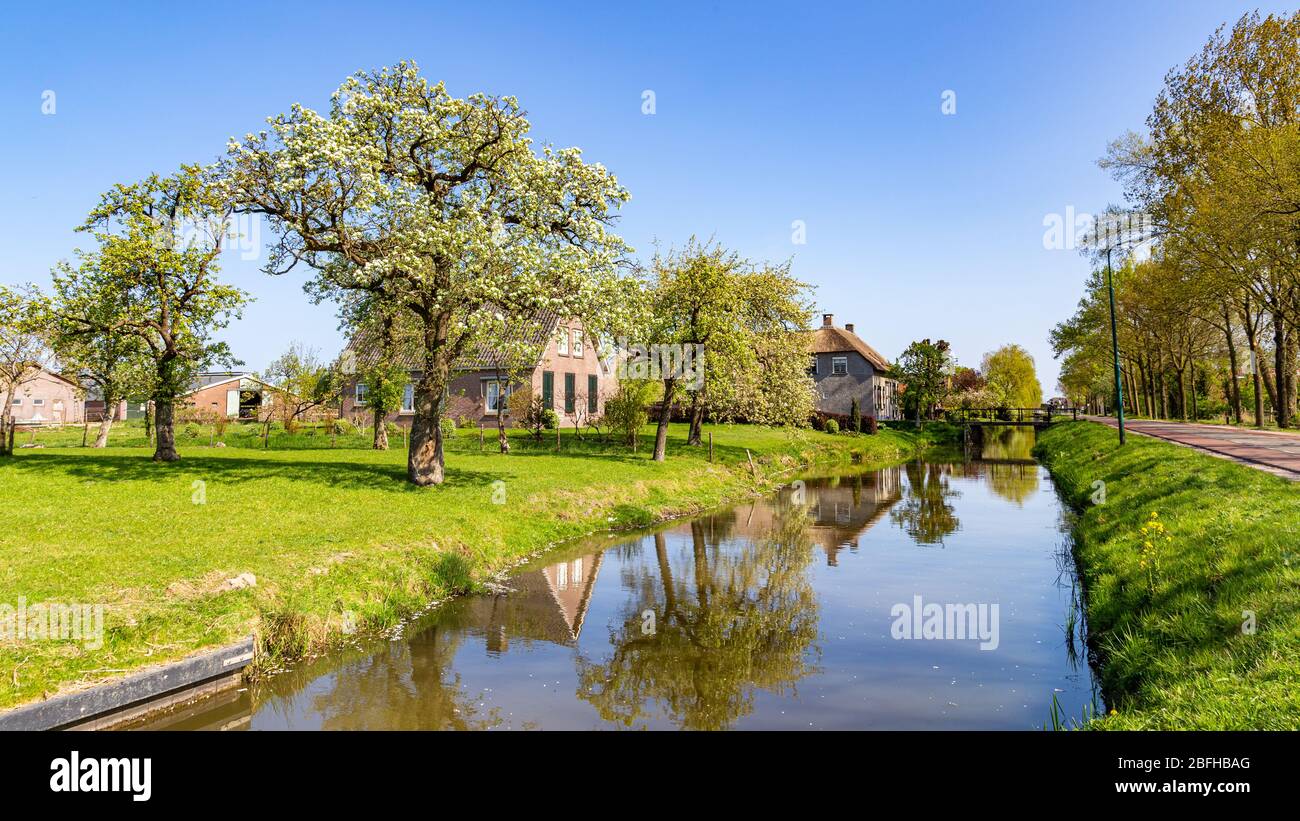 Typical Dutch village scape with small traditonal houses reflected in ...