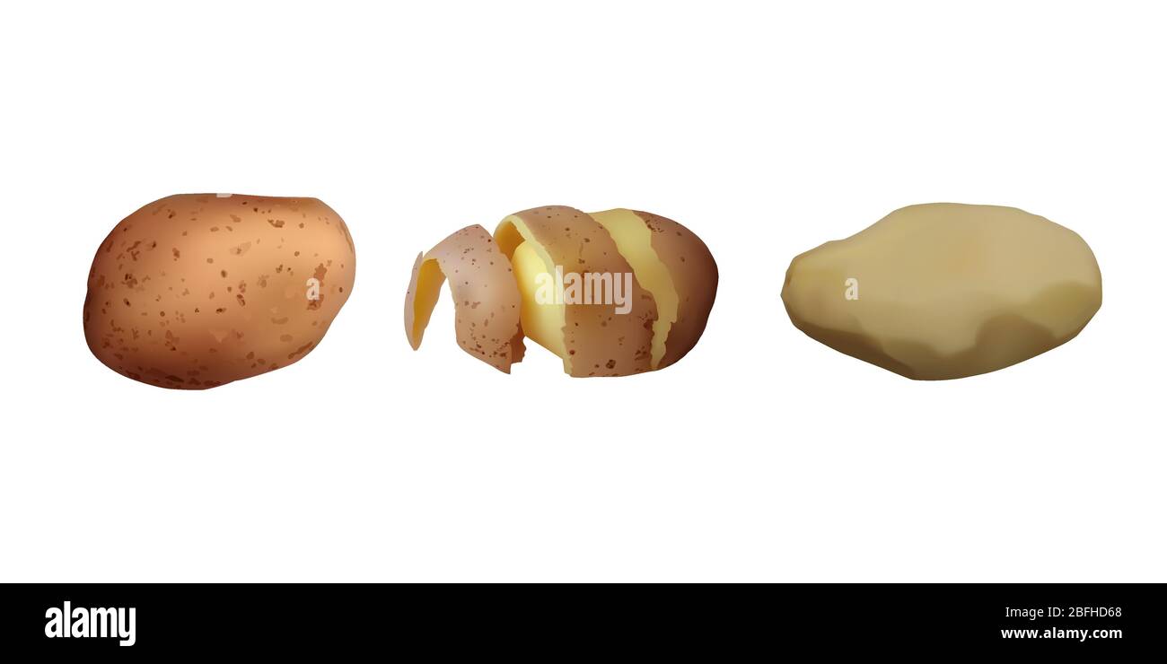 Peeled tuber potatoes. Vector illustration Vegetarian food Stock Vector ...