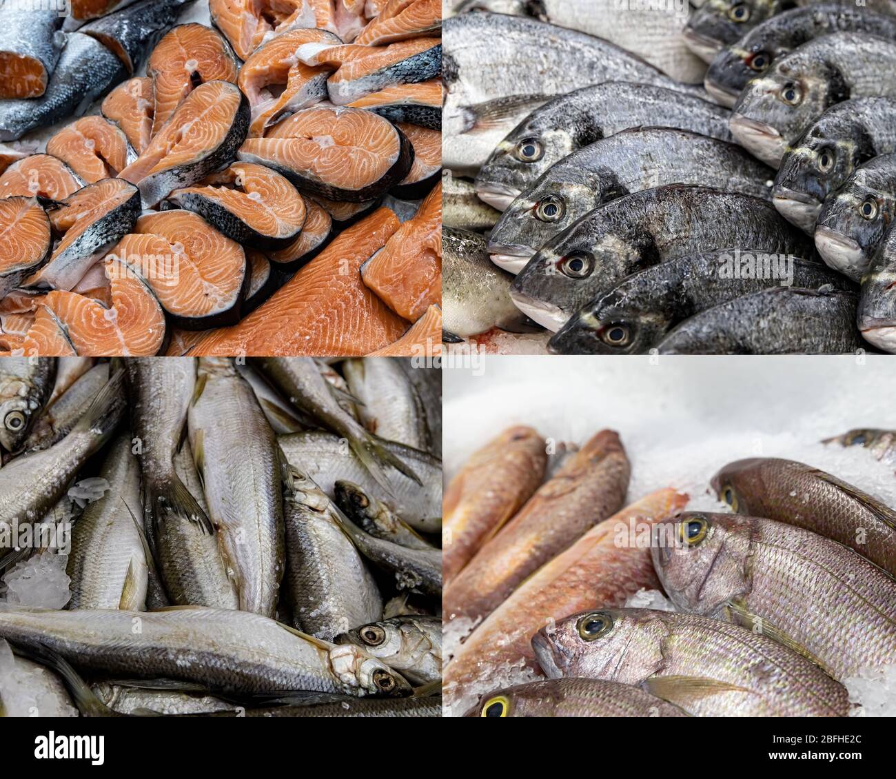 Collage of various types of fresh fish on ice in a supermarket, top ...
