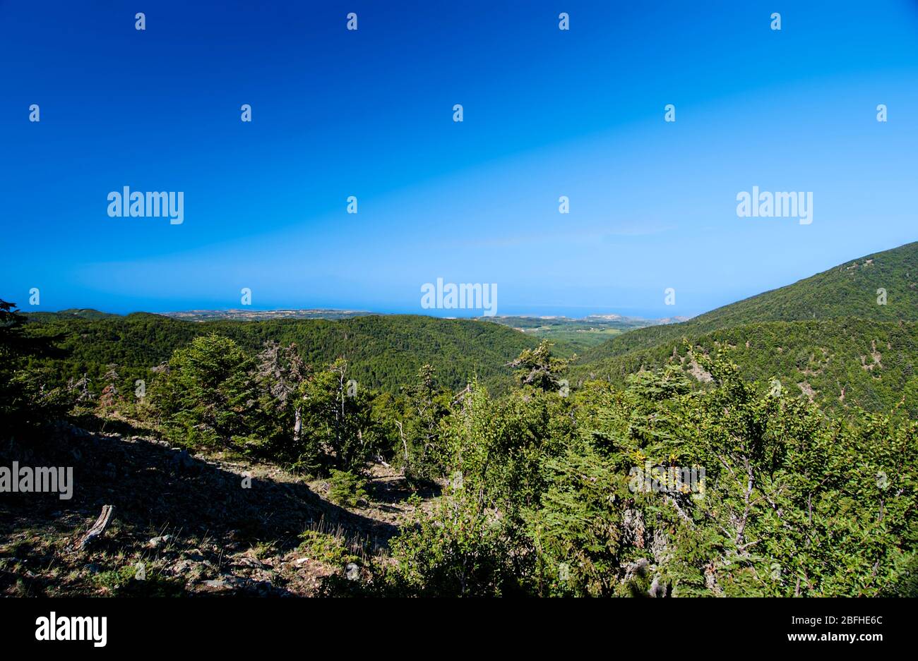 Italy Calabria - Aspromonte National Park - Campi di Reggio Stock Photo ...