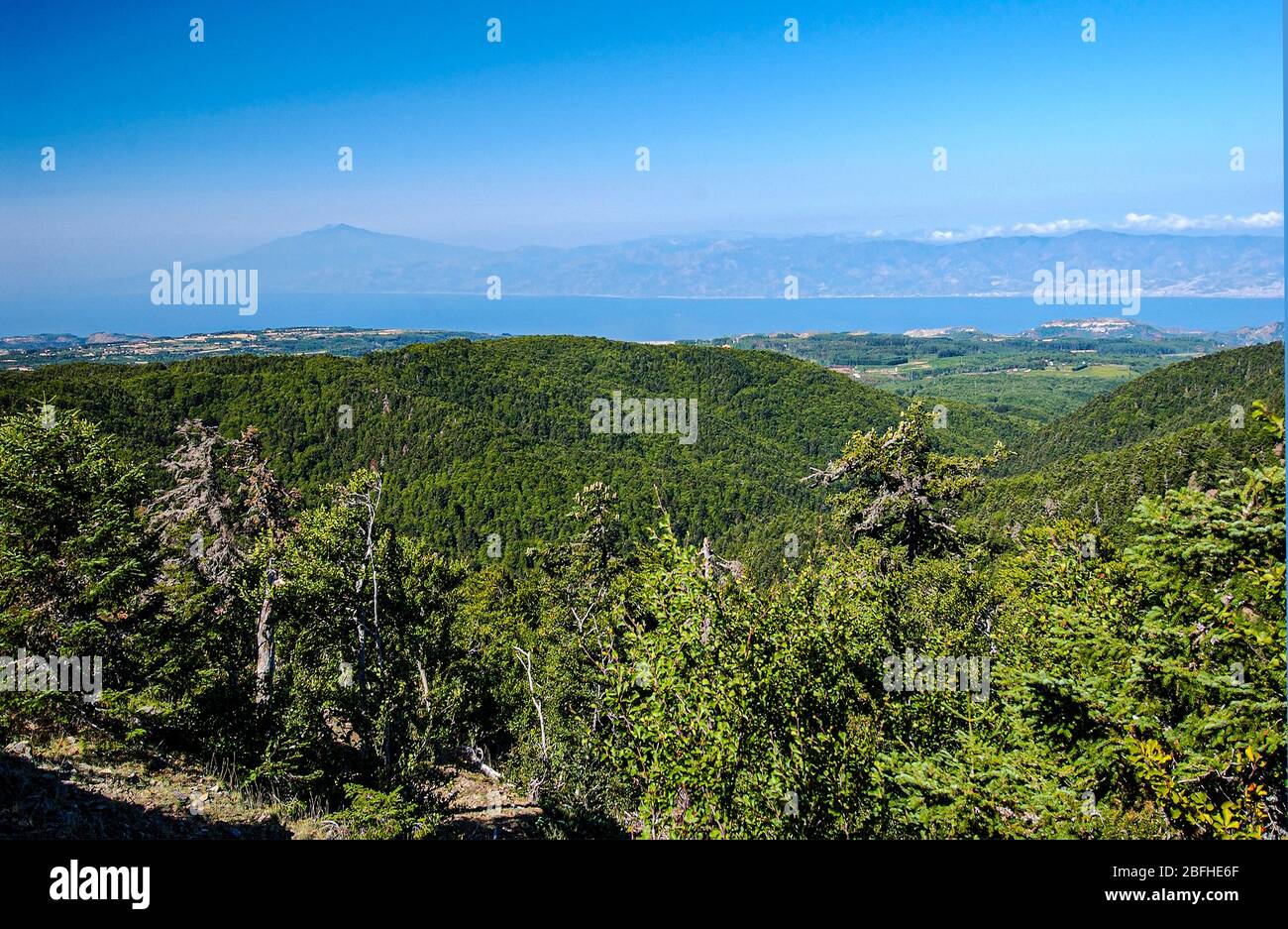 Italy Calabria - Aspromonte National Park - Campi di Reggio Stock Photo ...