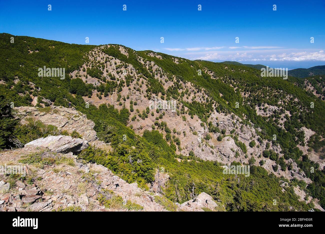 Aspromonte national park hi-res stock photography and images - Alamy