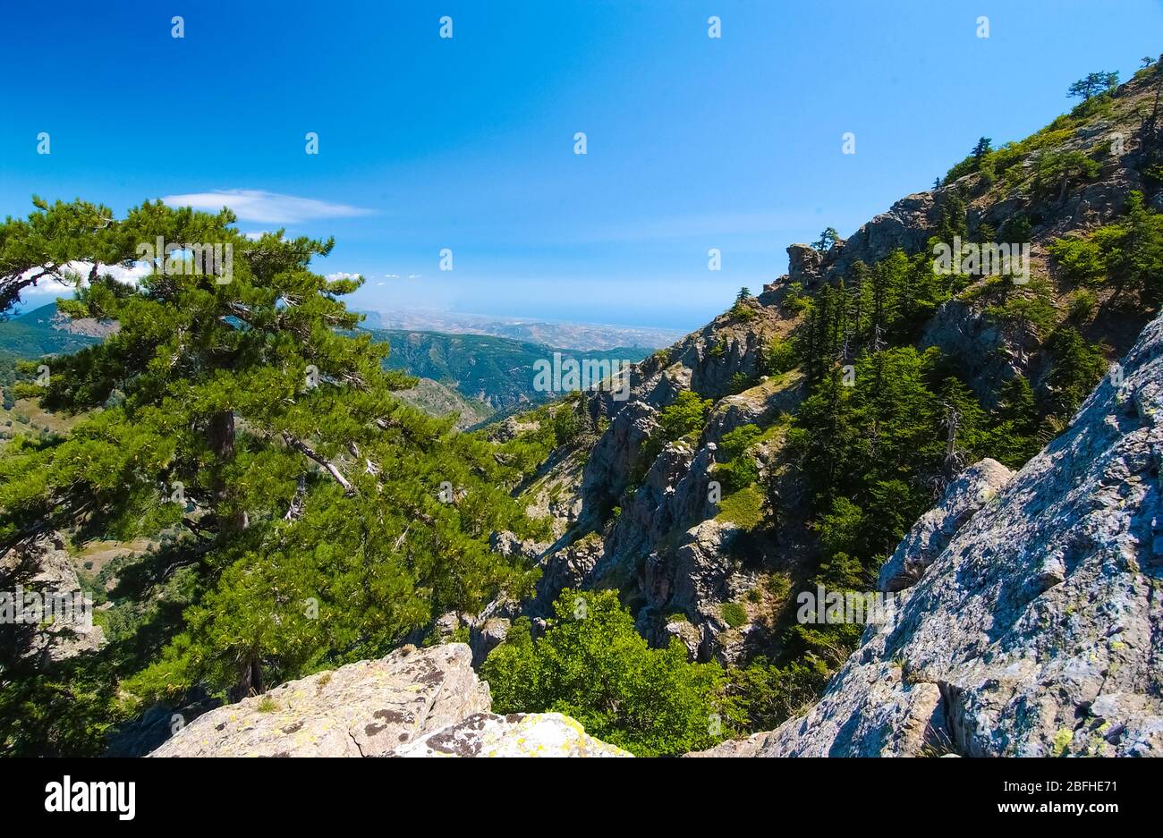 Aspromonte national park hi-res stock photography and images - Alamy