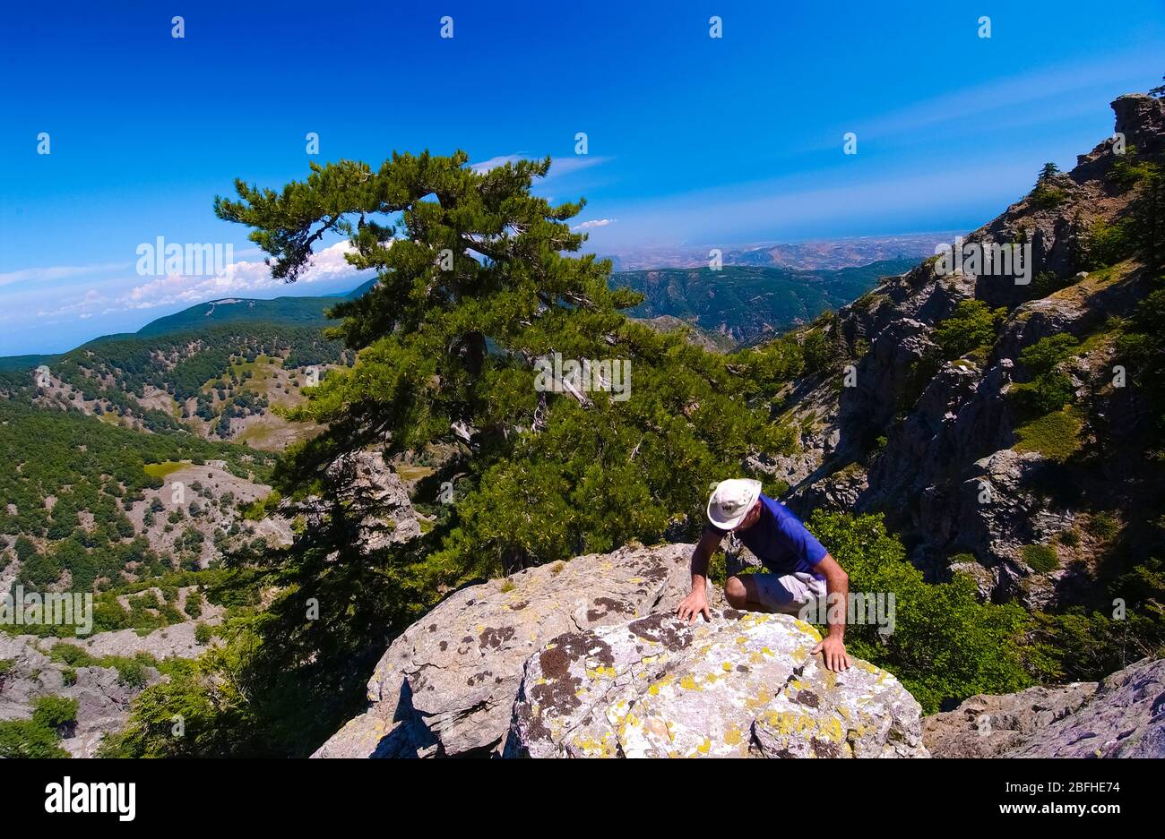 Italy Calabria - Aspromonte National Park Stock Photo - Alamy