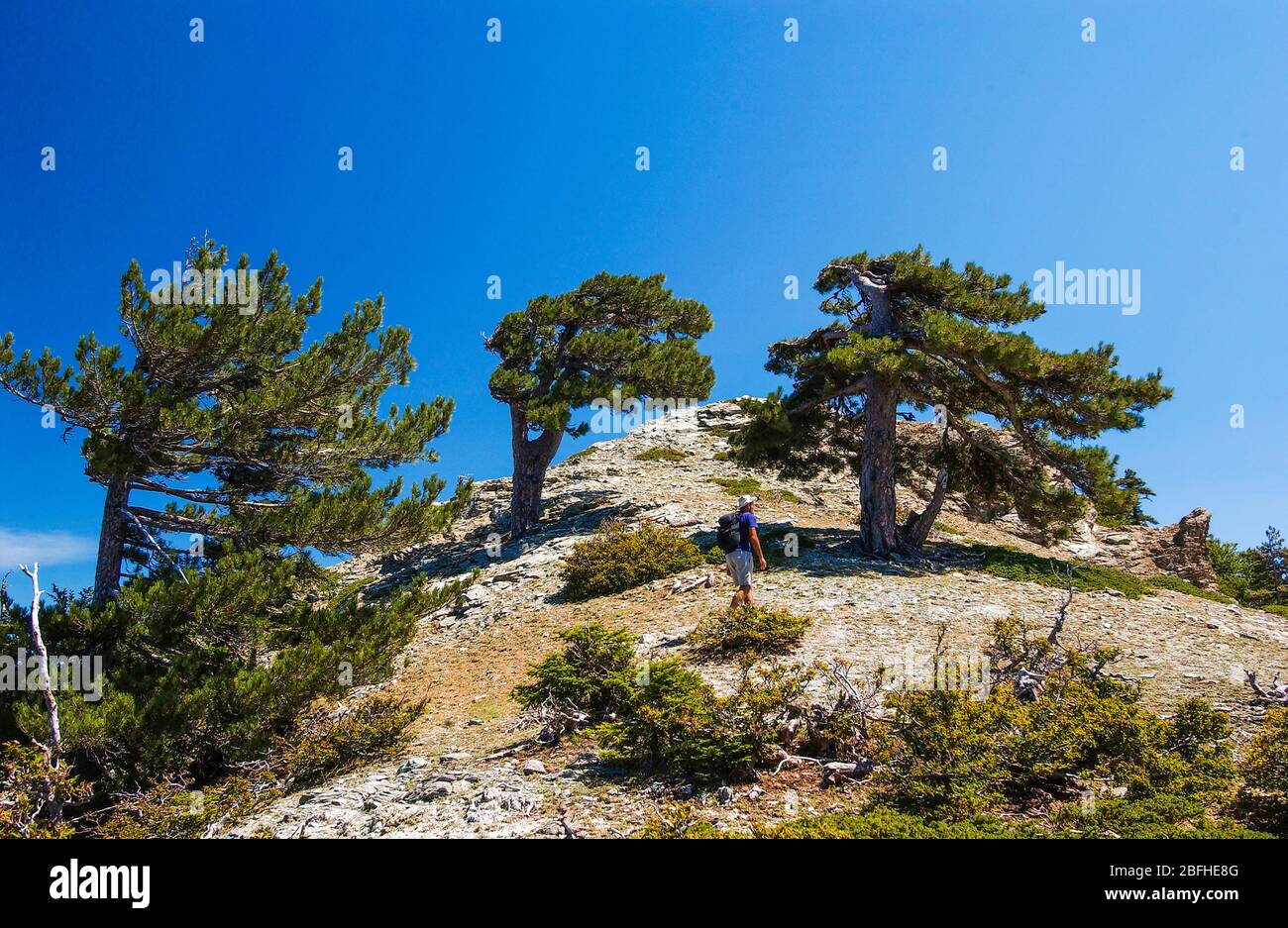 Parco nazionale dell’aspromonte hi-res stock photography and images - Alamy