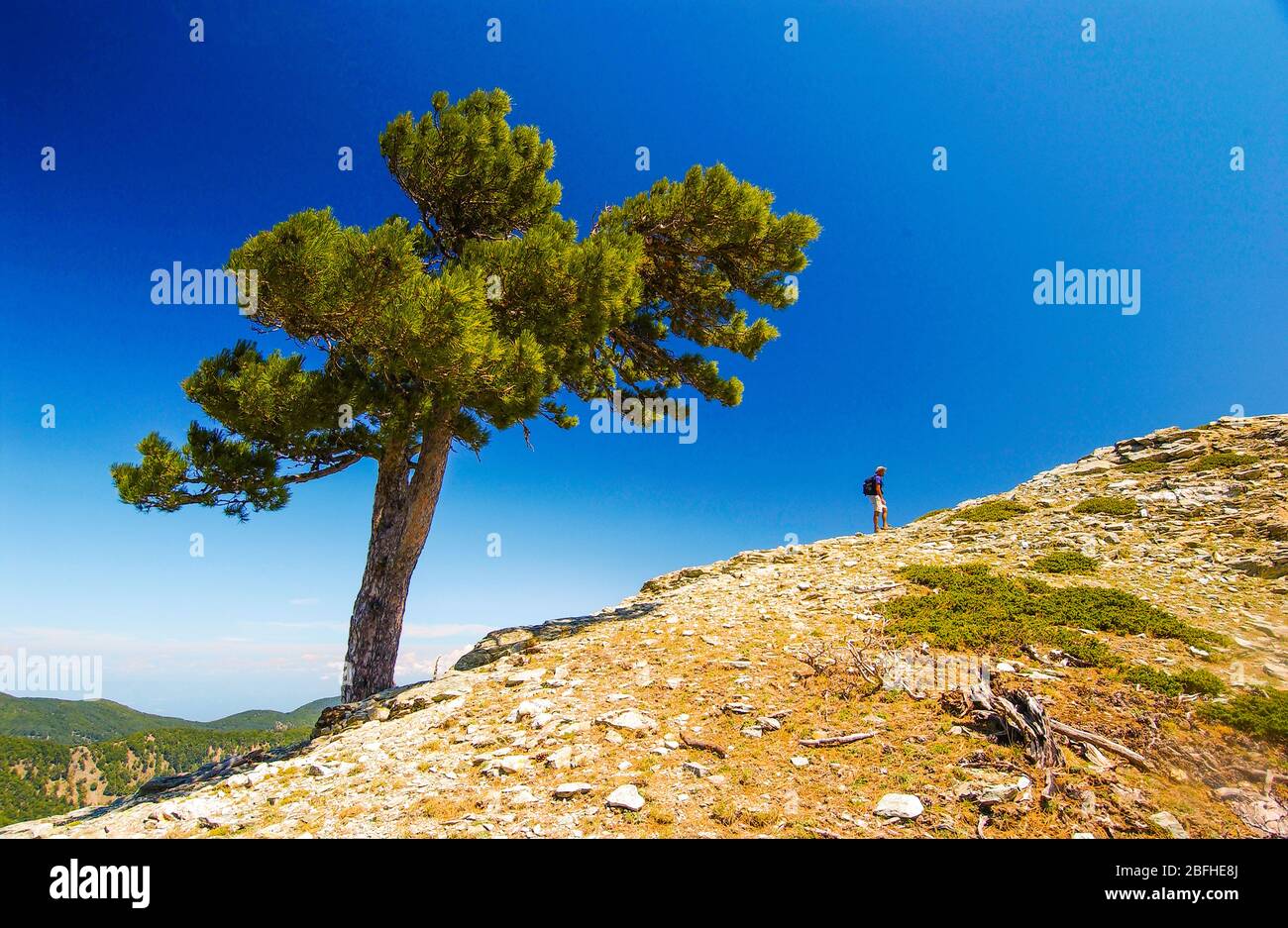 Parco nazionale dell’aspromonte hi-res stock photography and images - Alamy