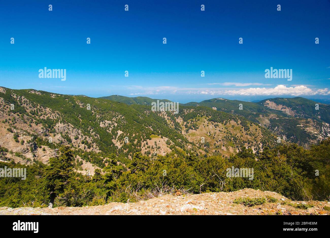 Italy Calabria - Aspromonte National Park Stock Photo - Alamy