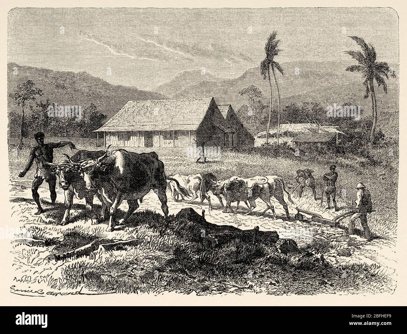 Native people of new caledonia hi-res stock photography and images - Alamy