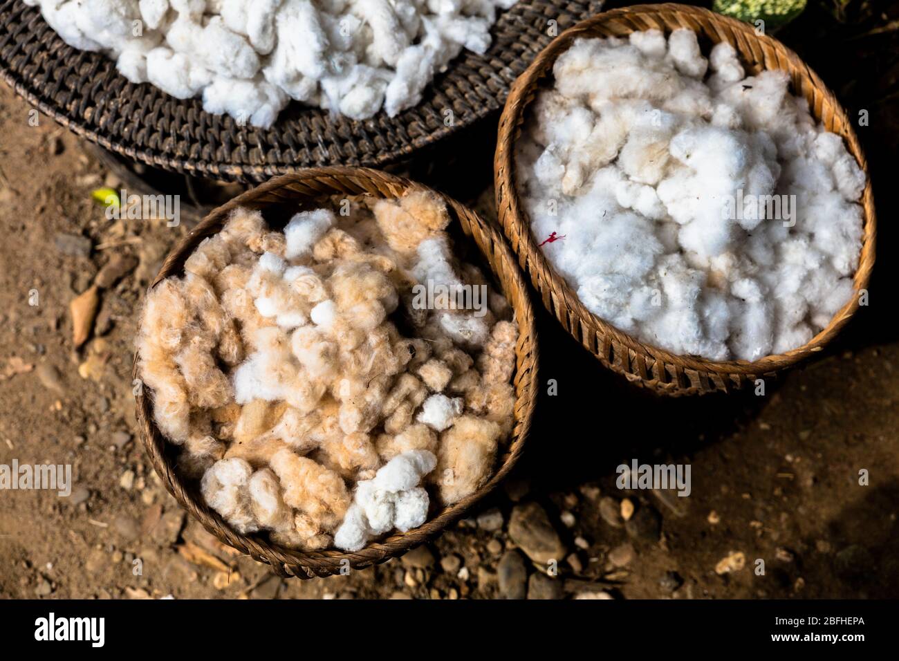 Sheared Sheeps High Resolution Stock Photography and Images - Alamy