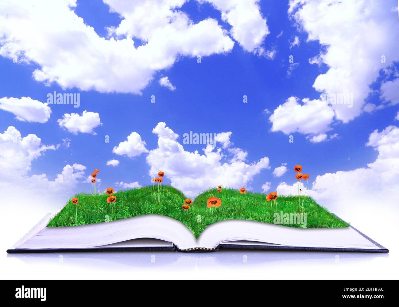 Open book of nature over blue sky with clouds Stock Photo - Alamy