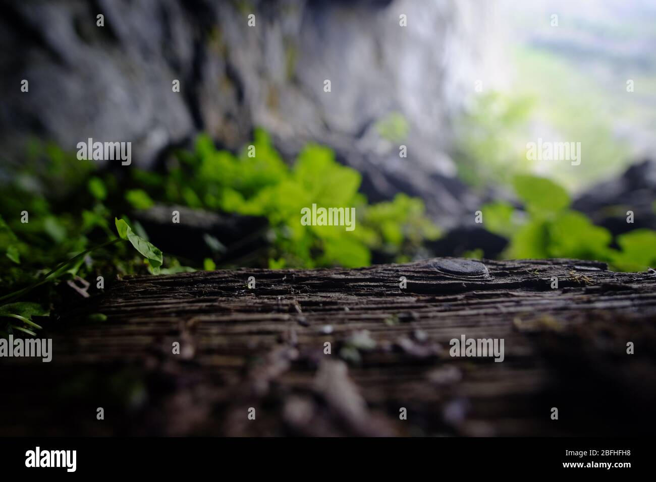 Pathway in underground hi-res stock photography and images - Alamy