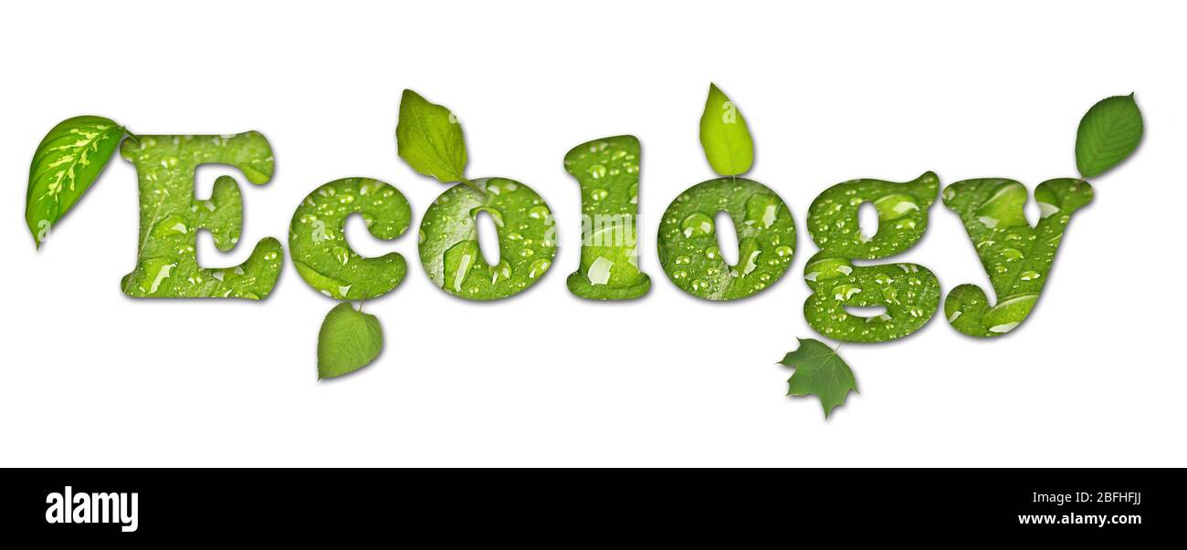 Green Ecology word, isolated on white Stock Photo - Alamy