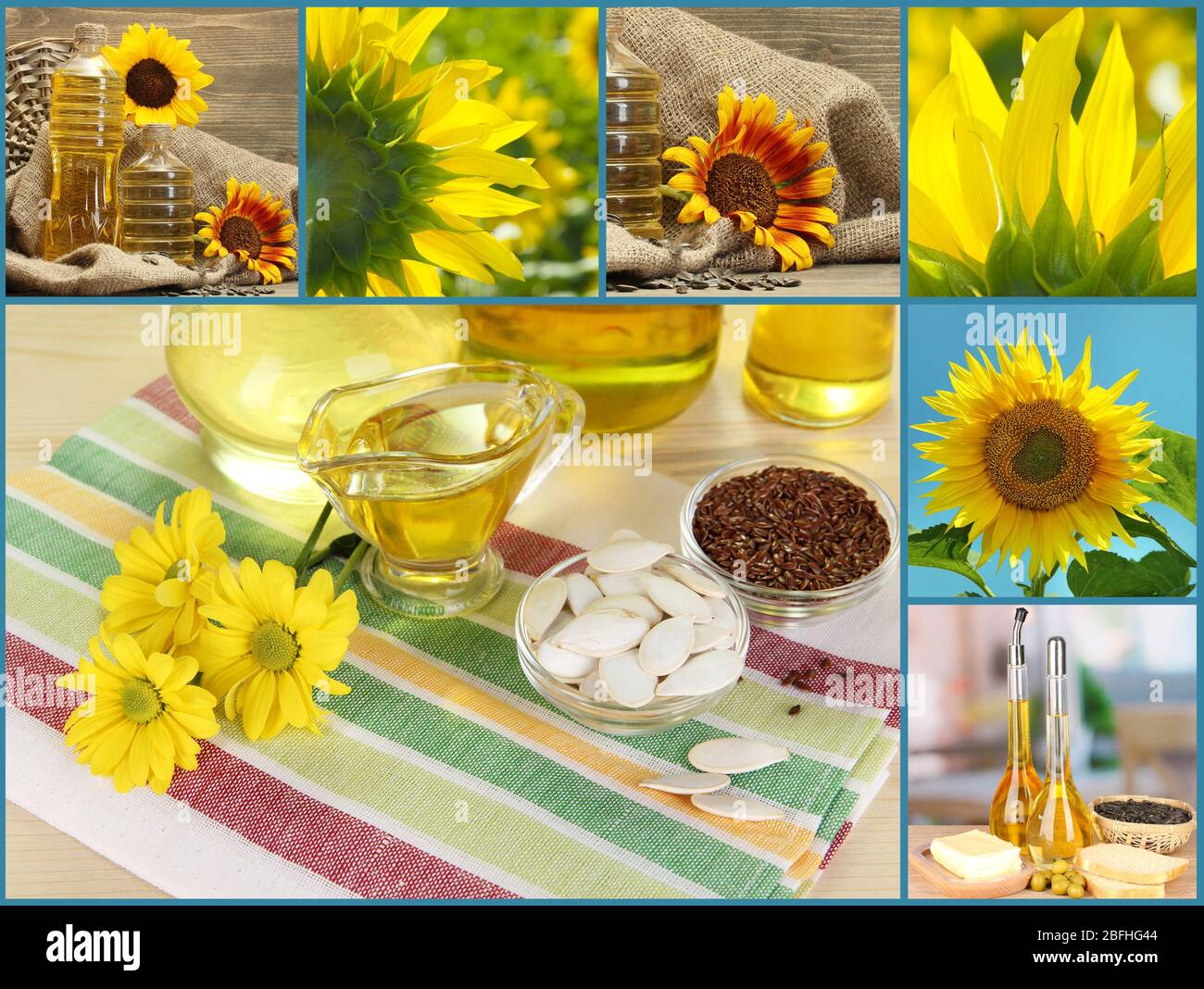 Collage with different seeds, oil and sunflower flowers Stock Photo - Alamy