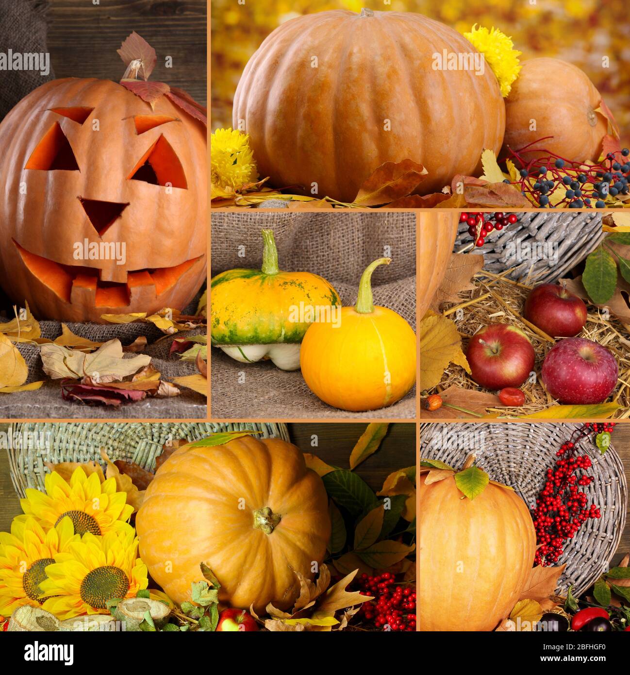 Collage of Halloween Stock Photo - Alamy
