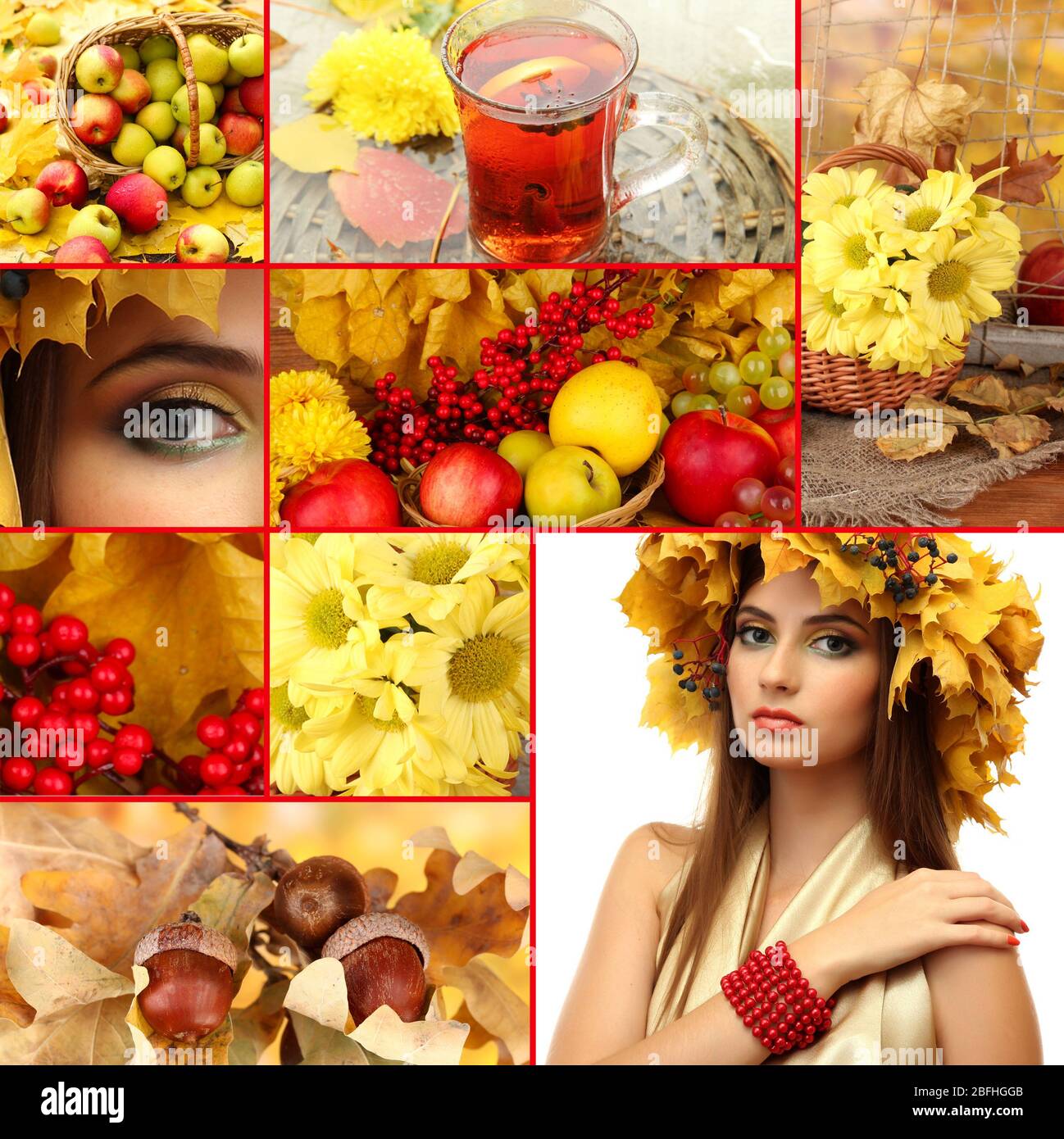 Collage of beautiful autumn Stock Photo - Alamy