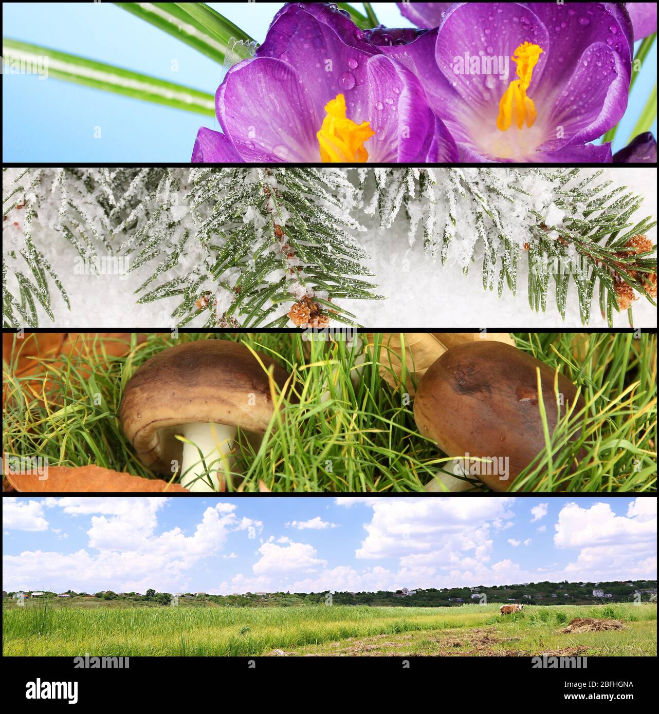 Seasons collage hi-res stock photography and images - Alamy