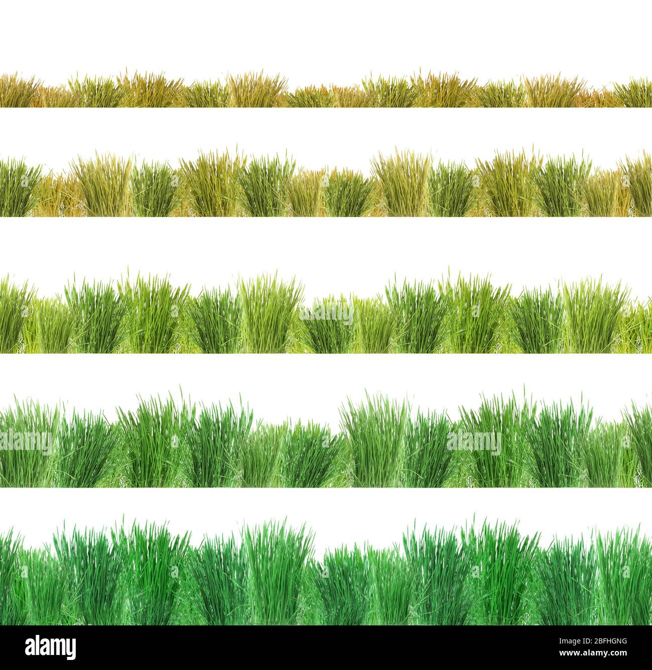 Collage of green grass isolated on white Stock Photo - Alamy