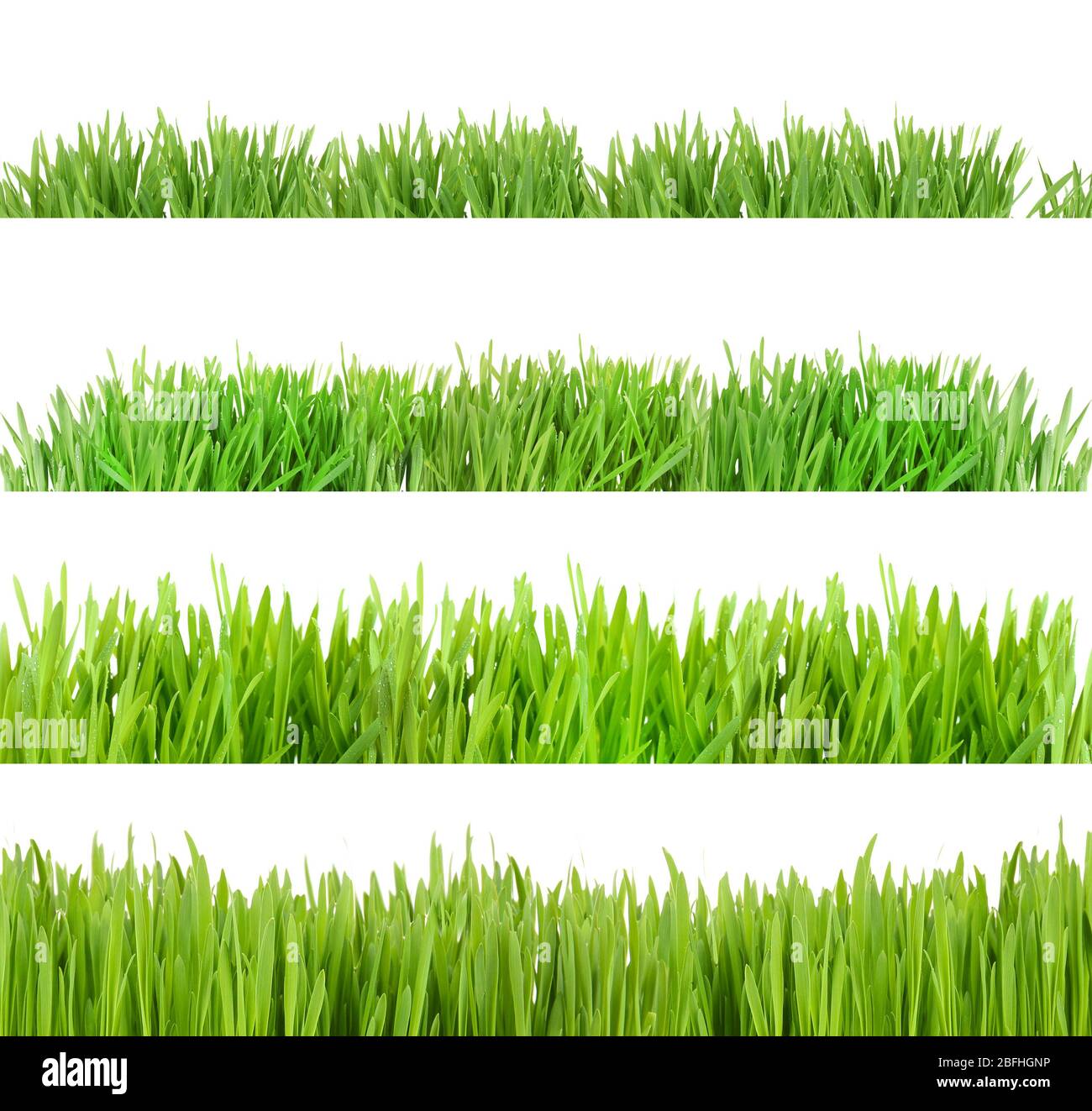 Collage of green grass isolated on white Stock Photo - Alamy